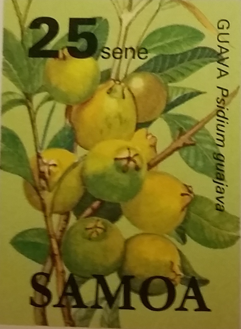 Samoa Post Office | Stamps